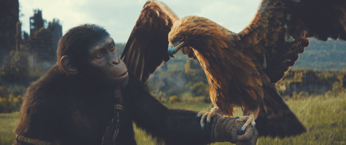 Age of the Ape: Uncovering the VFX behind Kingdom of the Planet of the ...