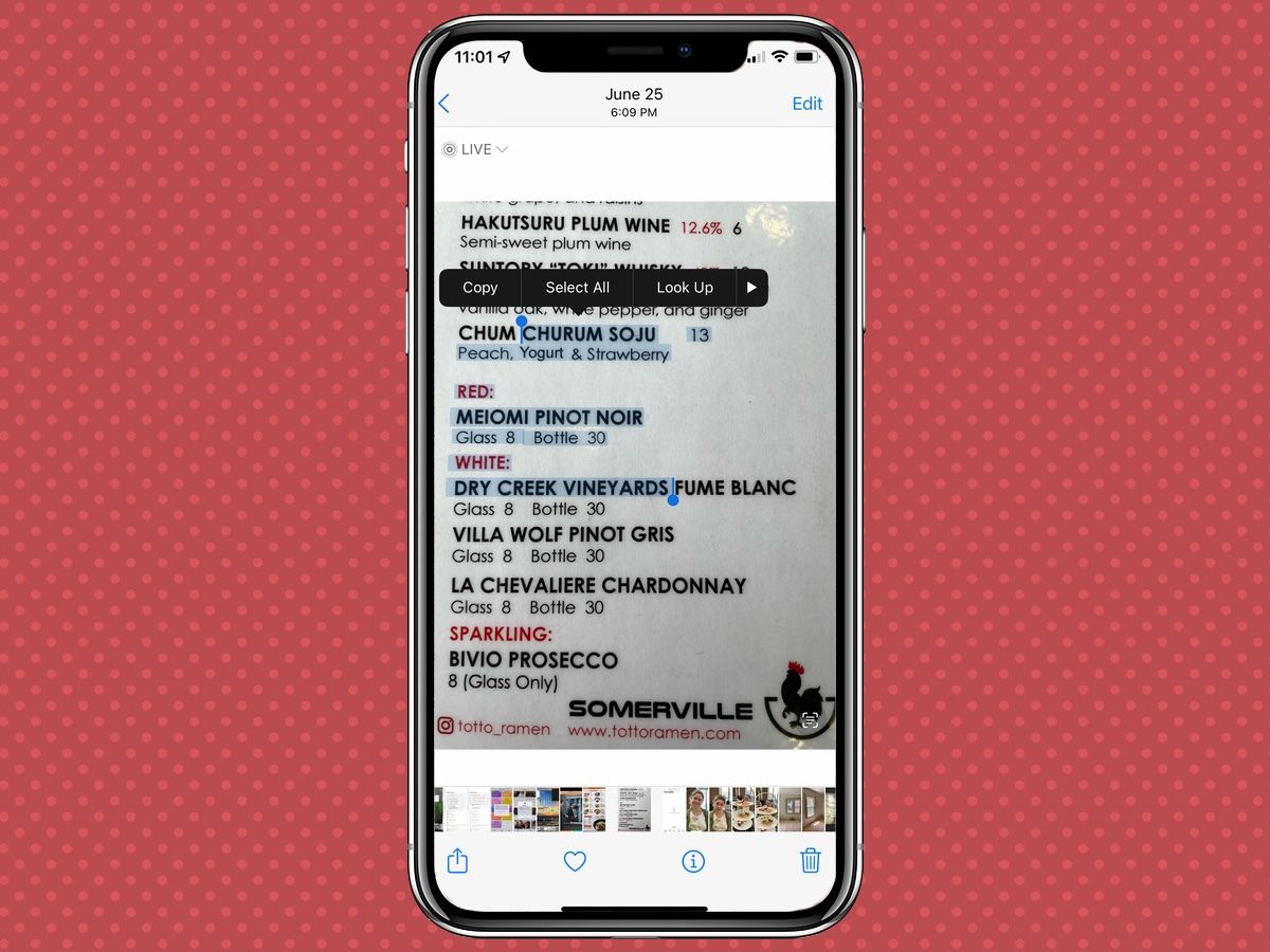 How to use Live Text in iOS 15 | Tom's Guide