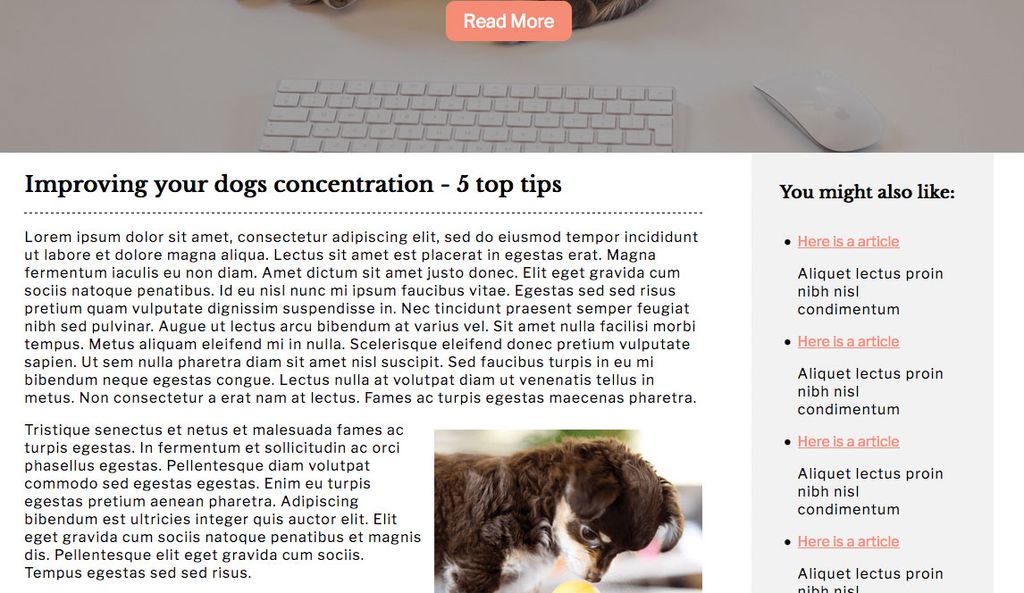 Build a blog with Grid and flexbox | Creative Bloq