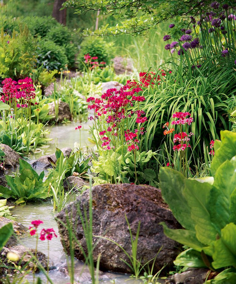 Rock garden plants: Top 10 varieties and how to grow them | Homes and ...