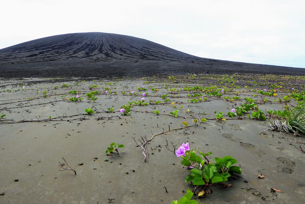 Scientists Visit a Rare New Island They Watched Grow Out of the Waves ...