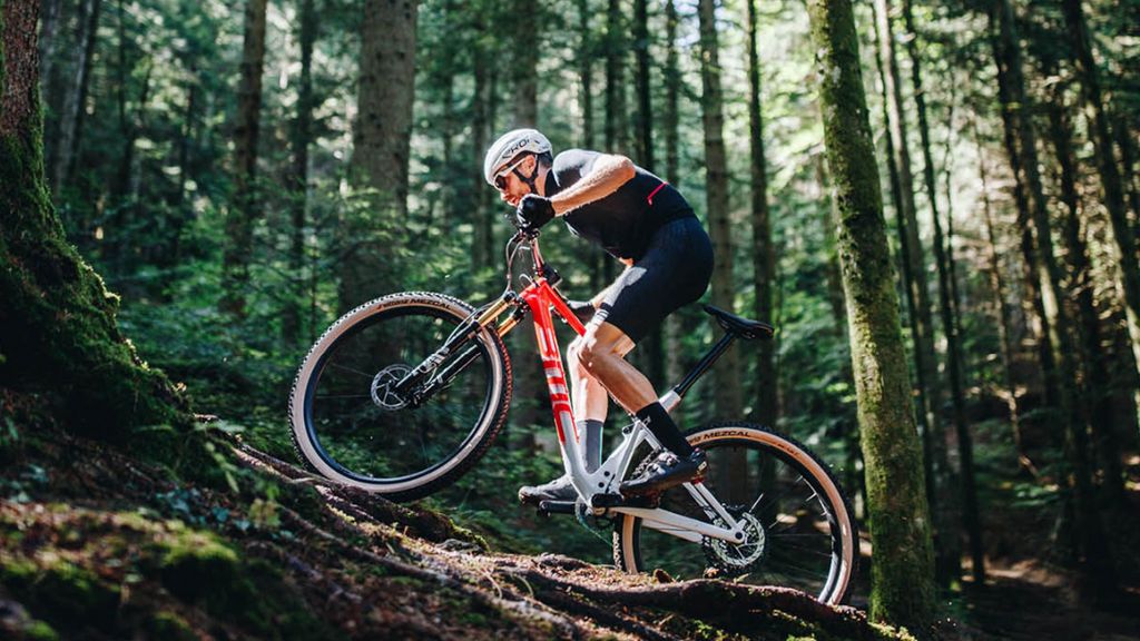 5 of the world's most drool-worthy and costliest MTB super-bikes, from ...