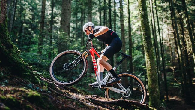 5 of the world's most drool-worthy and costliest MTB super-bikes, from ...