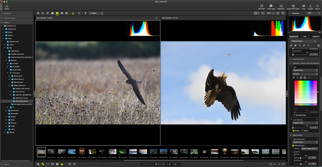 Nikon releases FREE NX Studio software for its DSLR and mirrorless ...