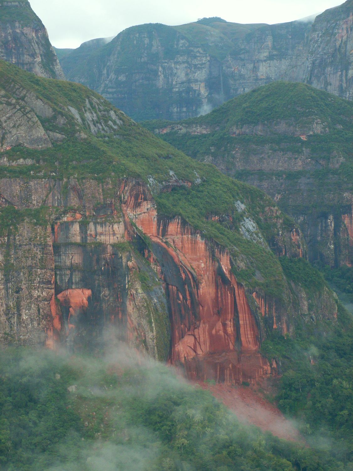 Gallery: Rare Species of the Andes & Amazon | Live Science