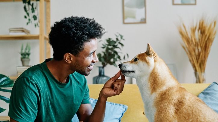 32 facts you need to know about adopting a dog | PetsRadar