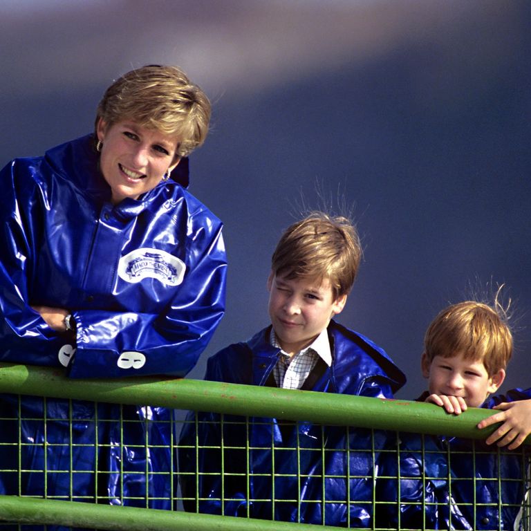 Prince William and Prince Harry Detail Their Last Phone Call with Their ...