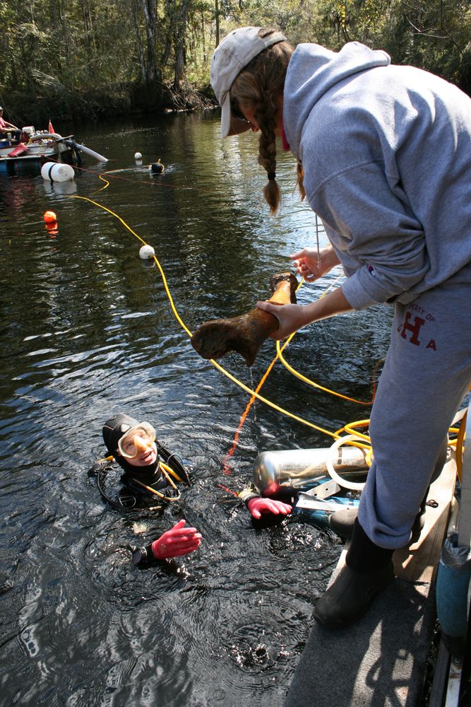 Mastodon Tusk Marked by Human-Made Tools (Photos): Page 2 | Live Science