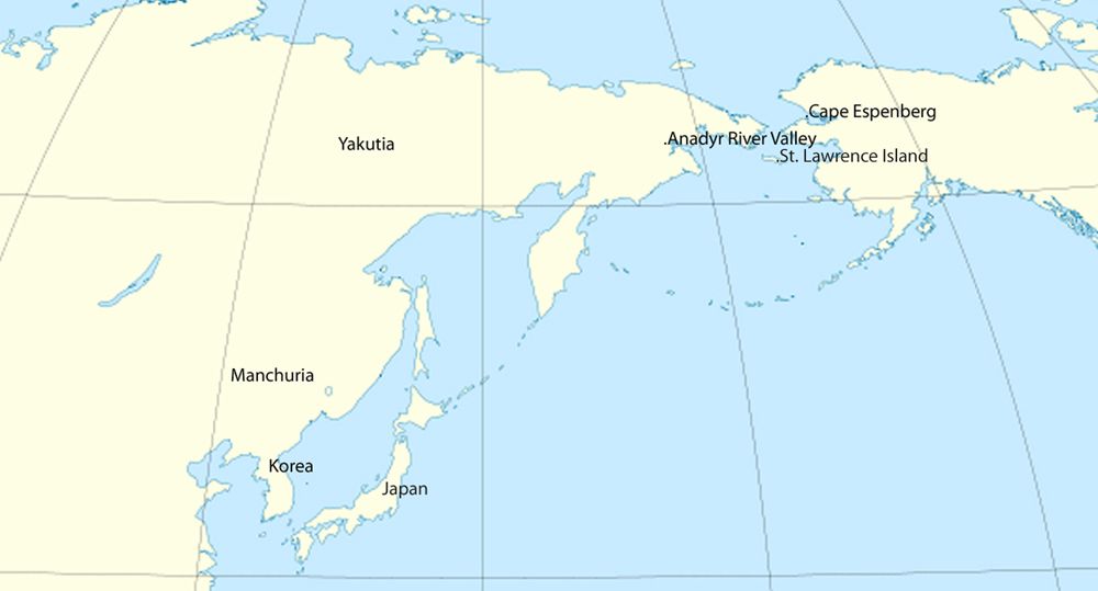East Asian Trade with New World (Photos) | Live Science