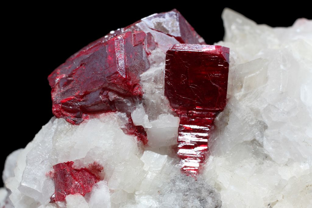 The Color of Blood: Here Are Nature's Reddest Reds (Photos) | Live Science