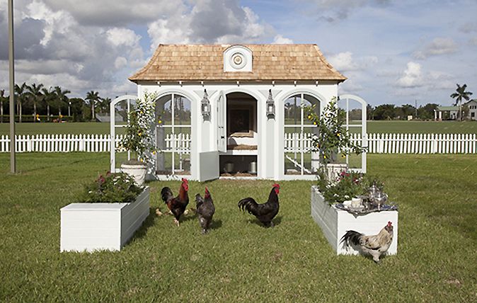 The £1,000 cat treehouse, and other extraordinary animal homes ...