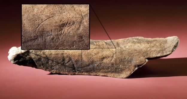 First ancient mammoth image discovered in Americas | Live Science
