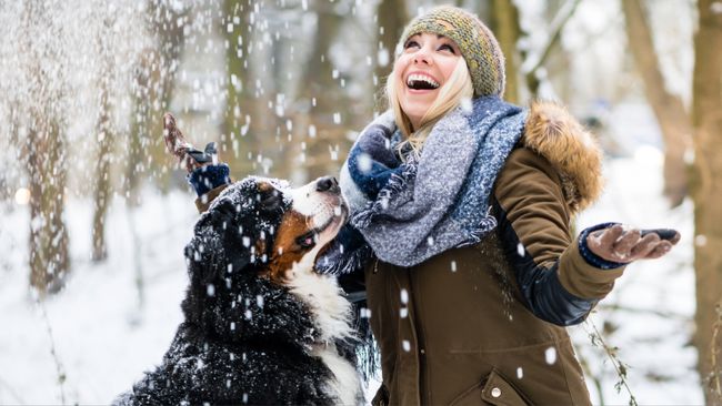 32 best dog breeds for cold climates | PetsRadar