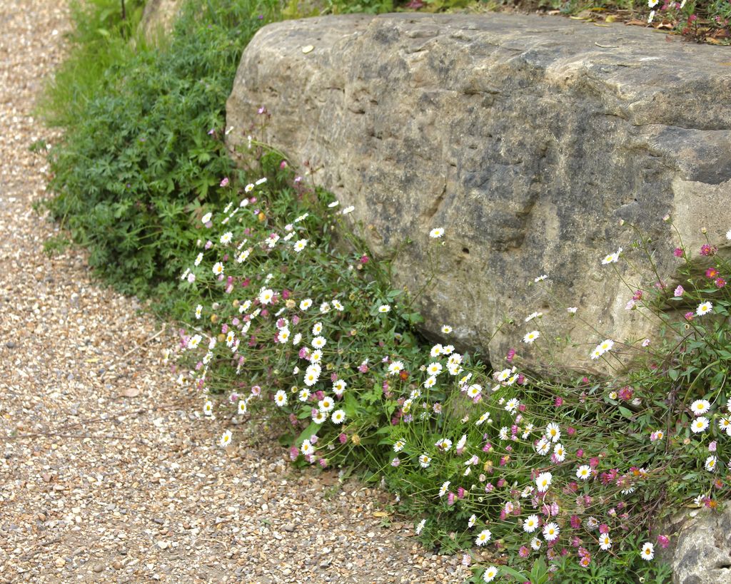 Landscaping with gravel: 14 ways to use it in your yard | Gardeningetc