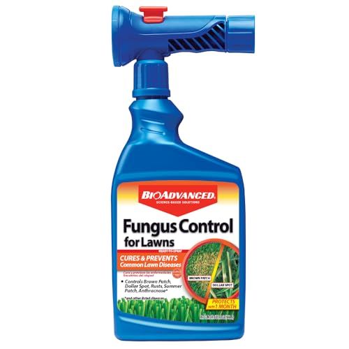 Fall lawn care: 10 expert tips for grass maintenance | Homes and Gardens