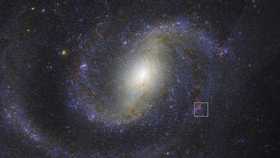 Hidden 'doomed' star revealed by James Webb Space Telescope could solve ...