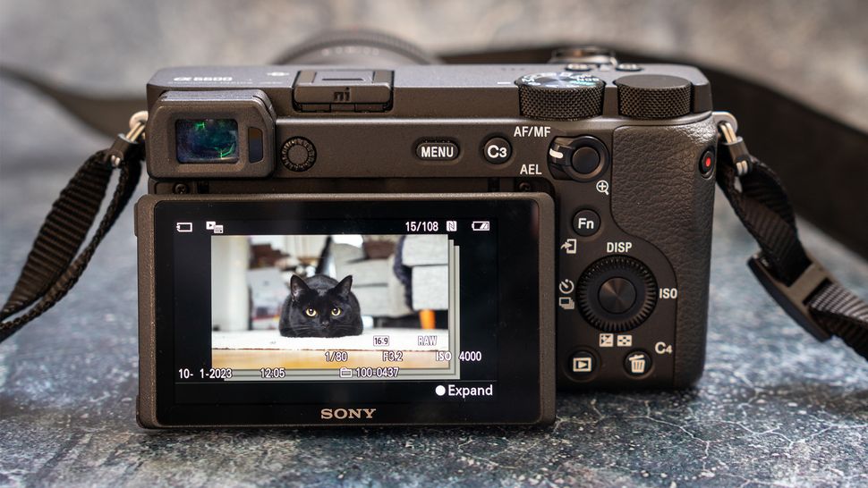 Sony A6600 camera review | Space