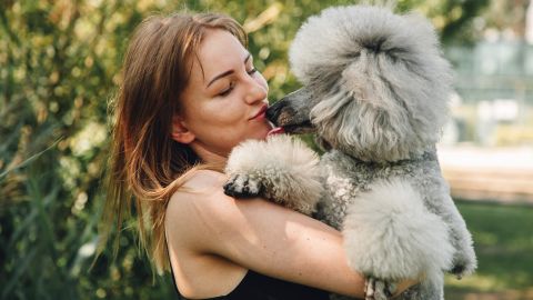 High-maintenance dog breeds: Is your dog a diva? | PetsRadar