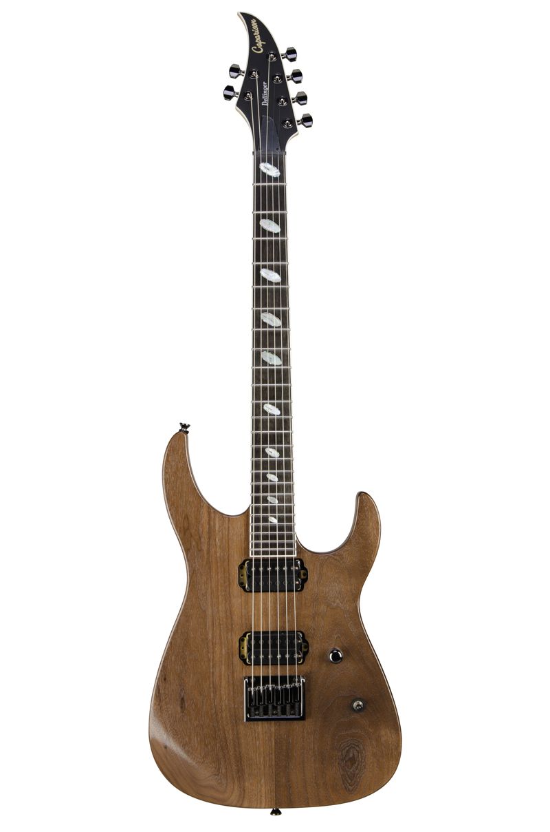 A Brief History of Caparison Guitars | Guitar World