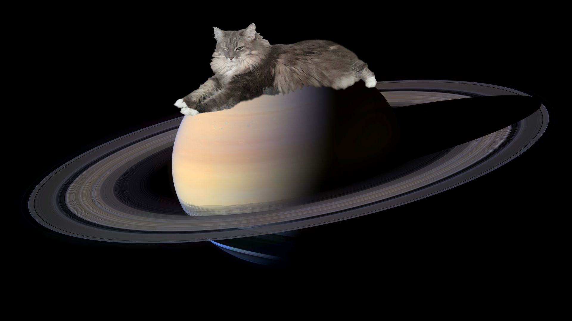 Cosmic Kittens: Saturn Features Get Feline Names | Space