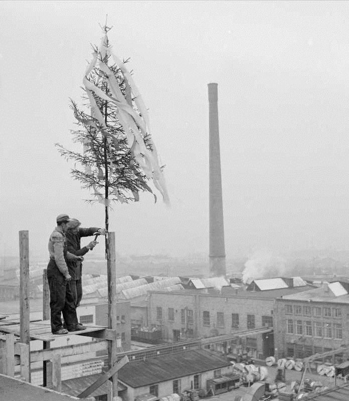 The mysteries of 'topping off': Why workers erect trees and crack open ...