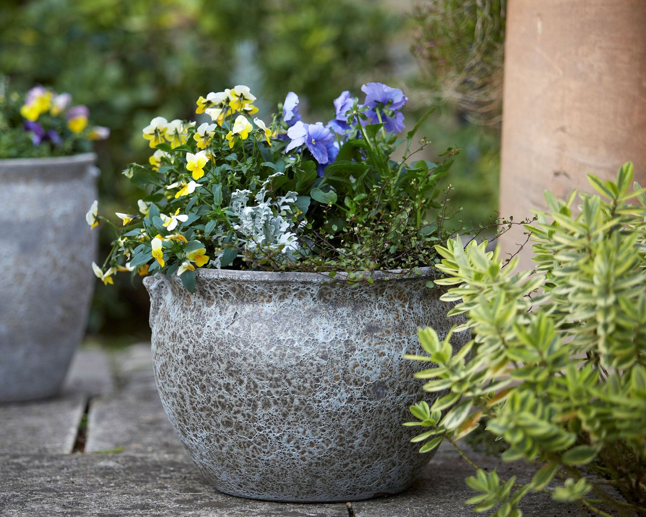 Winter planter ideas: 12 cold-weather containers that will look good ...