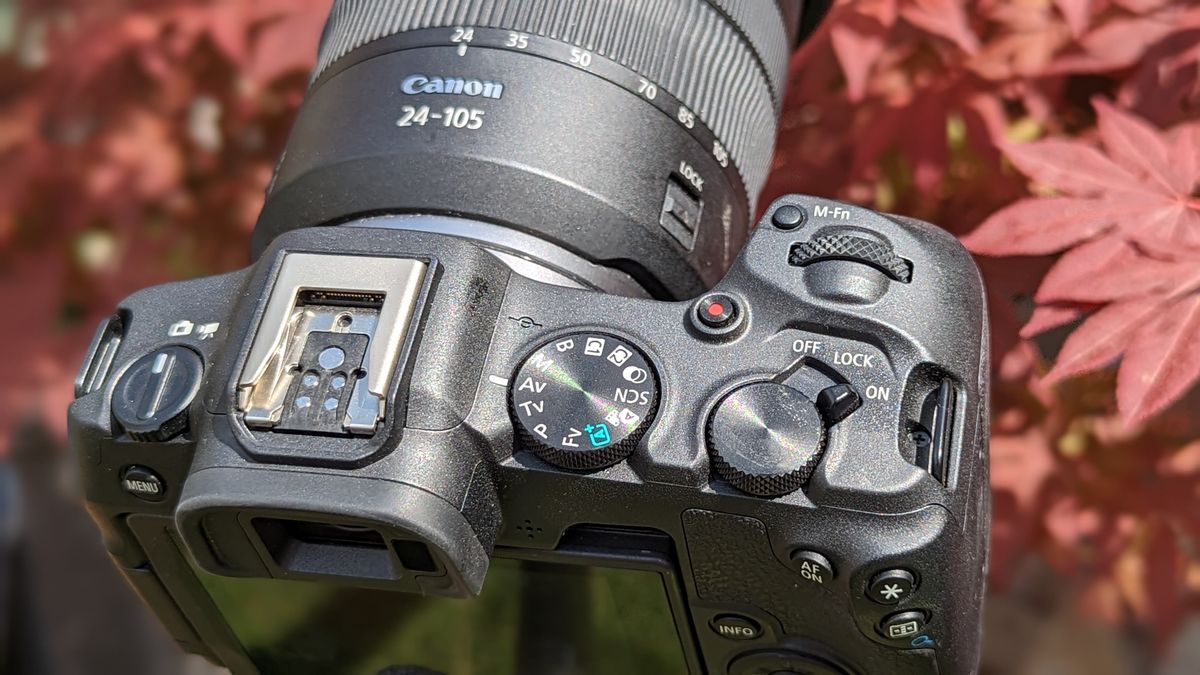 Comparison: Canon EOS R8 vs Sony A7C II | Space