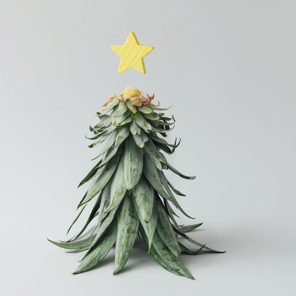 Pineapple Christmas tree anyone? It's the trend taking over Instagram ...