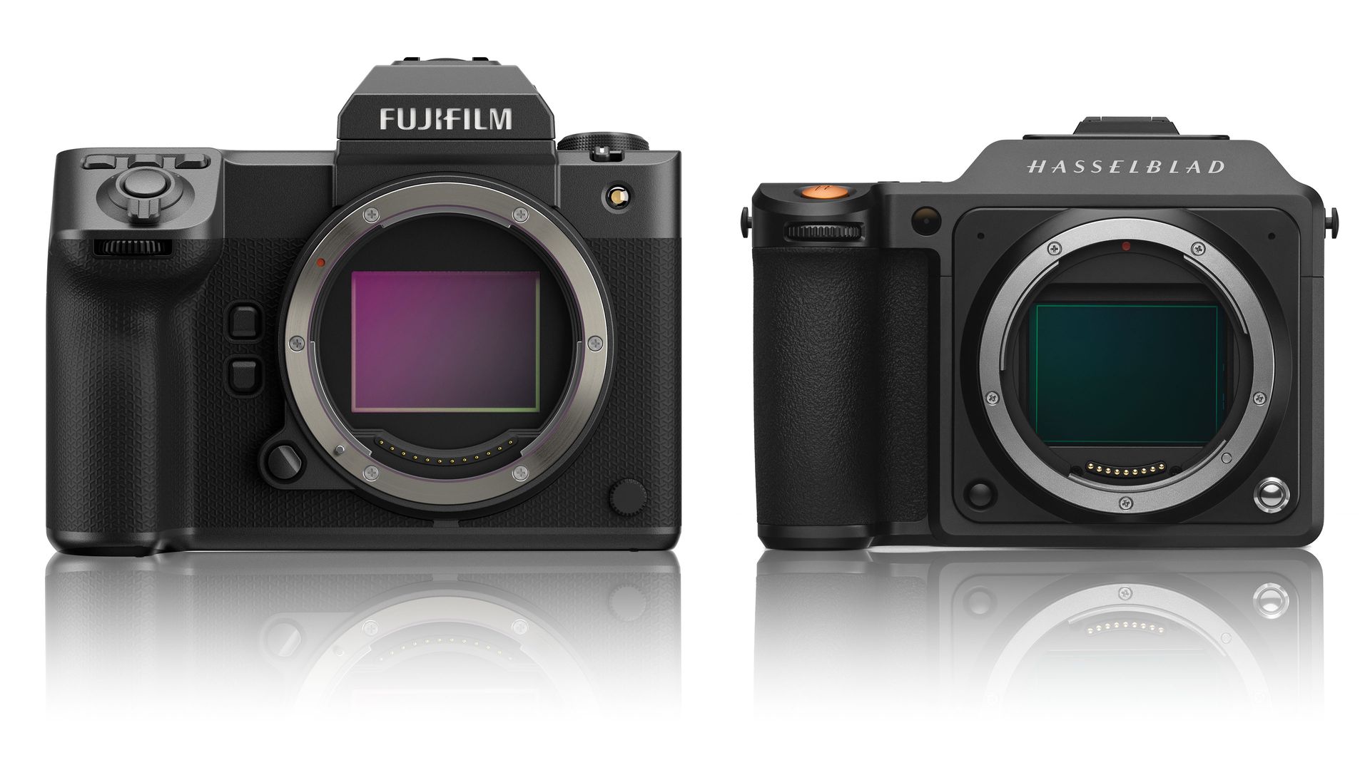 Fujifilm GFX 100 II vs Hasselblad X2D 100C: comparing medium format monsters | Digital Camera World
