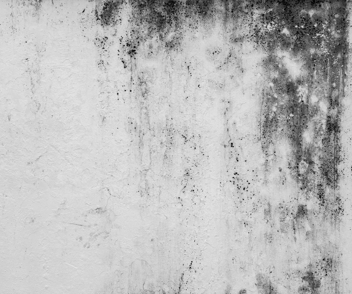 What is interstitial condensation and how can you prevent it ...