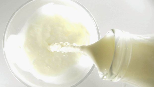 Raw milk fad: unpasteurised milk to catch on in Britain?| News | | The Week