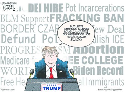 Today's political cartoons - August 5, 2024 | The Week