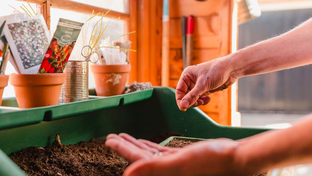 When To Start Planting Seeds: Best Times For Seed Starting | Gardening ...