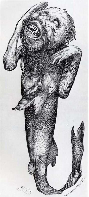 The Feejee Mermaid: Early Barnum Hoax | Live Science