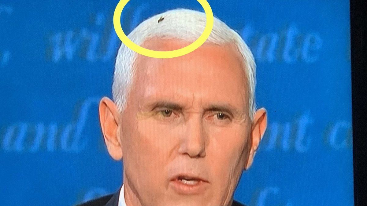 Fly In Mike Pence's Hair Twitter Reactions | The VP Debate Fly | Marie ...