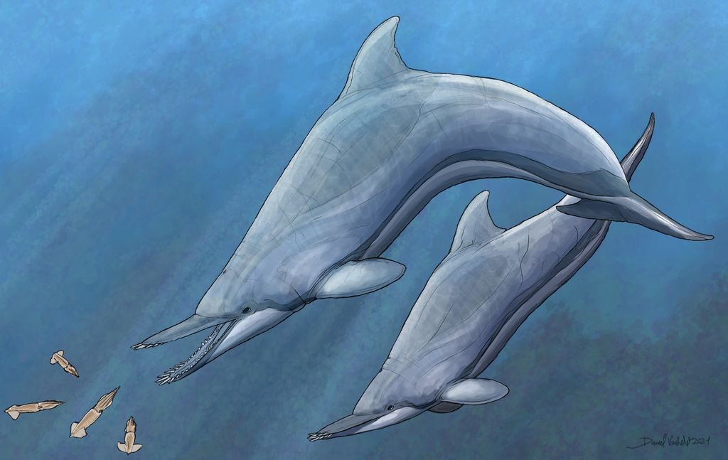 25 million-year-old 'slasher' dolphin with weird teeth discovered in ...