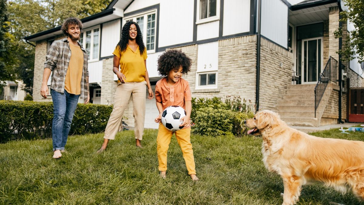 32 things to know about caring for a large-breed dog | PetsRadar