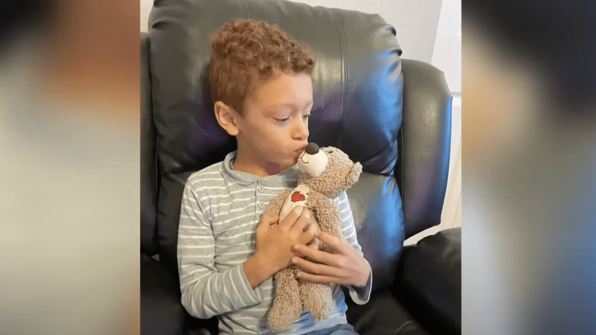 Boy reunited with teddy bear he lost 1,000 miles from home | The Week