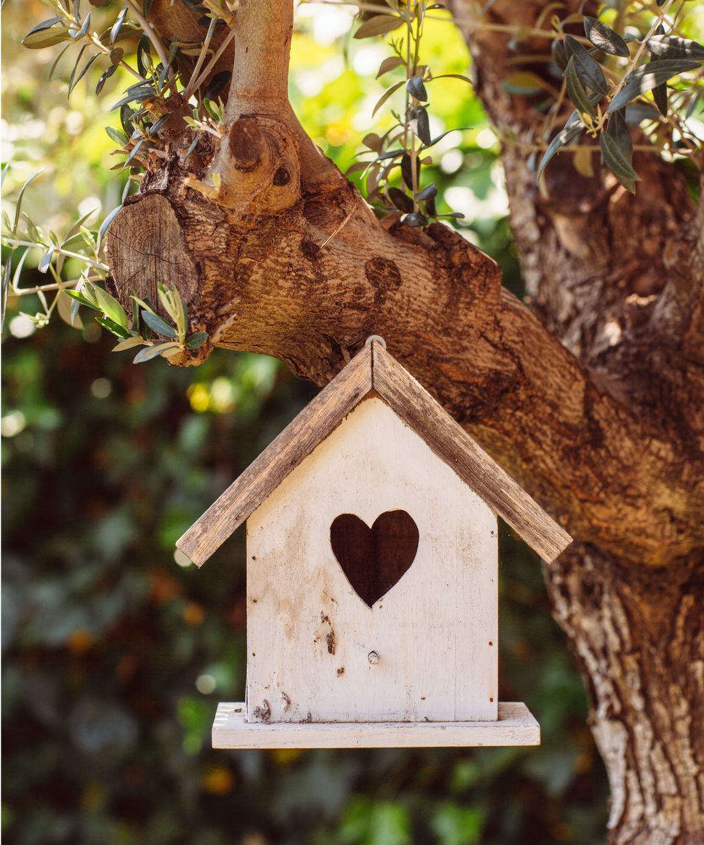 What is a memory garden? 5 ways to remember loved ones | Homes and Gardens