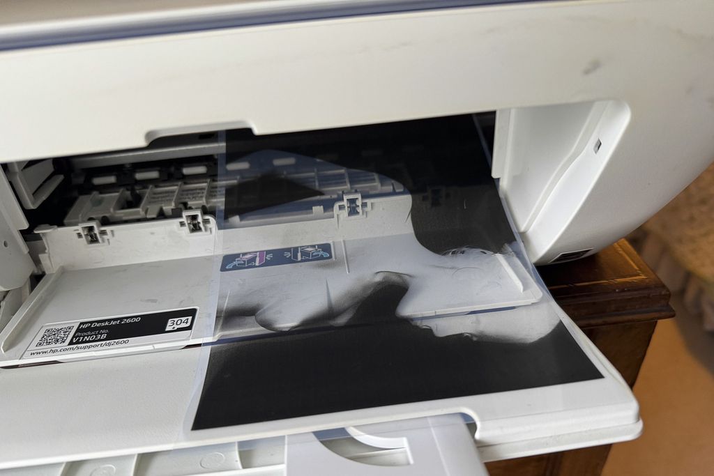 Craft your own cyanotypes at home with this quick and easy setup ...