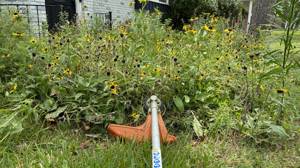 STIHL FSA 200 R String Trimmer review: quirky yet powerful, efficient ...