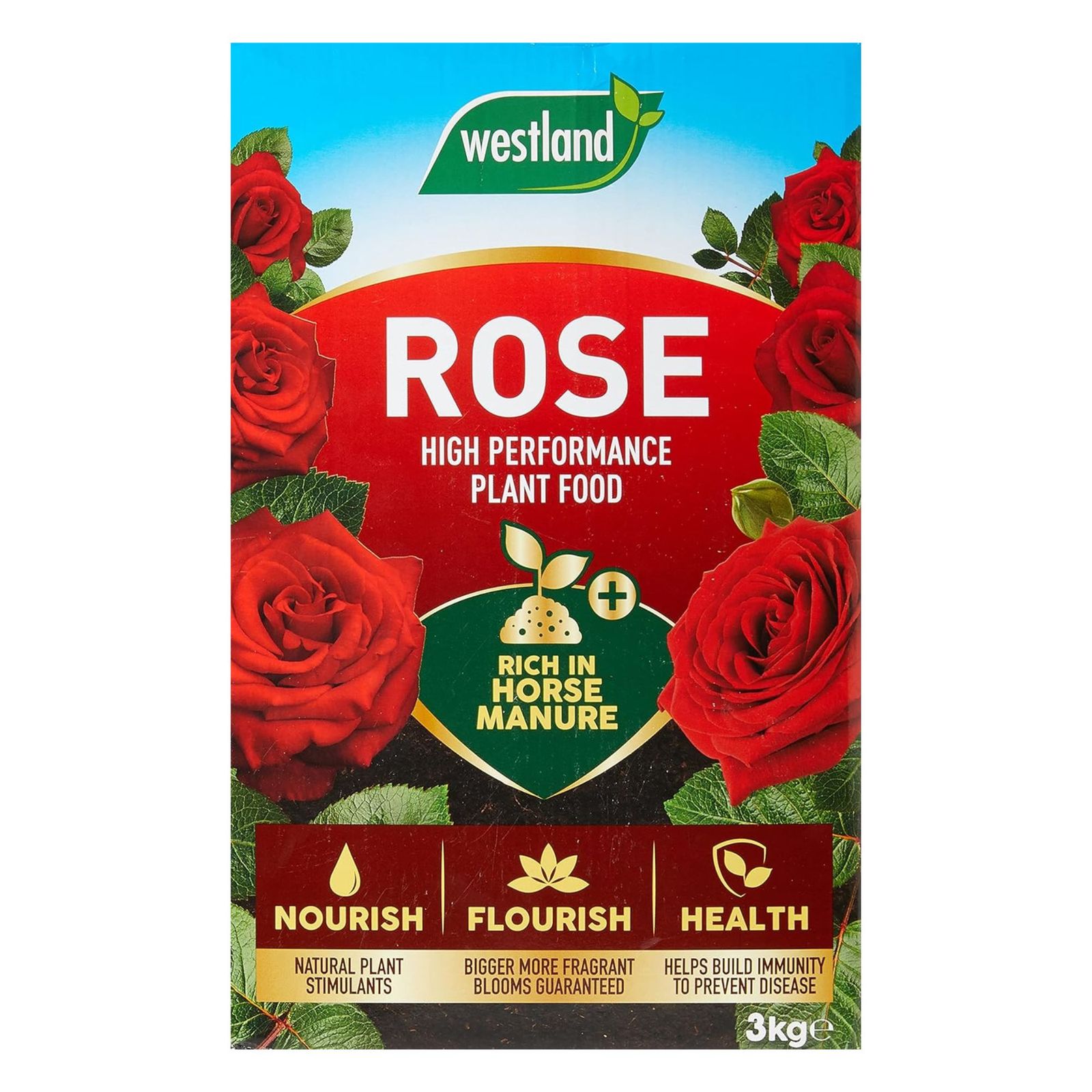 Should you fertilise roses? Your expert guide to rose feed | Ideal Home