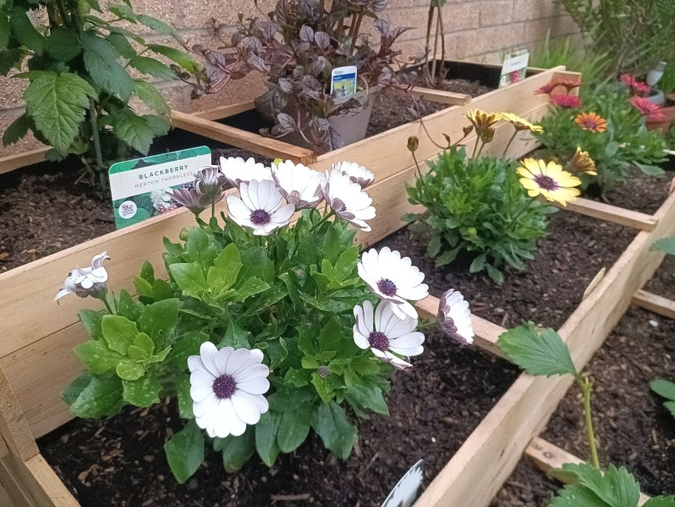 Planet Computers Astro Slide 5G review | TechRadar