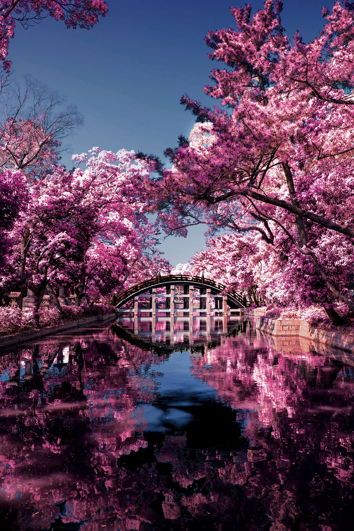 Want the infrared film look, without specialized camera kit? Here's how ...