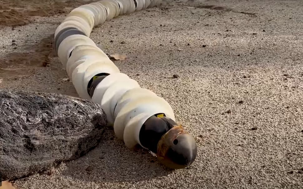 La NASA présente son nouveau “robot-serpent” | TechRadar