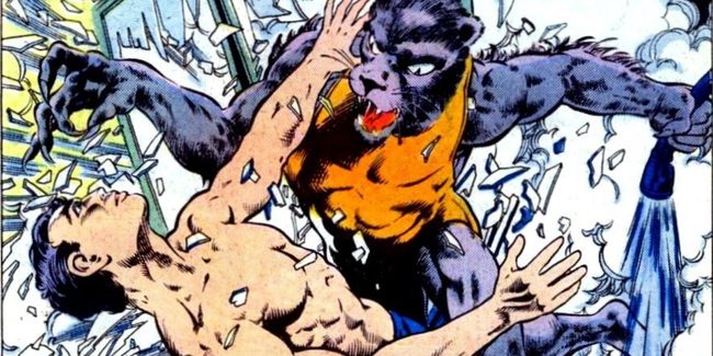 Weasel: The DC Comics Origins Of Sean Gunn's The Suicide Squad ...