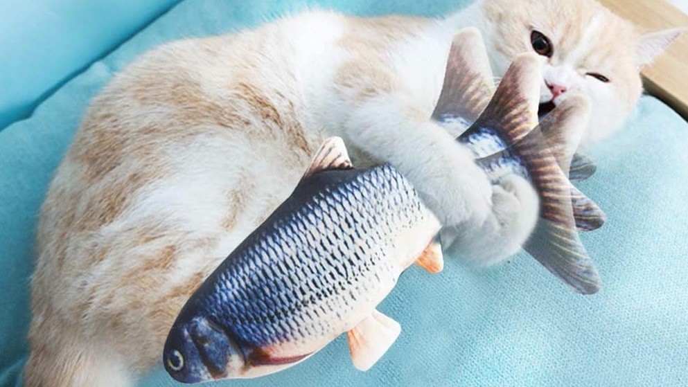 Best toys for indoor cats: Six fun playthings for your kitty | PetsRadar