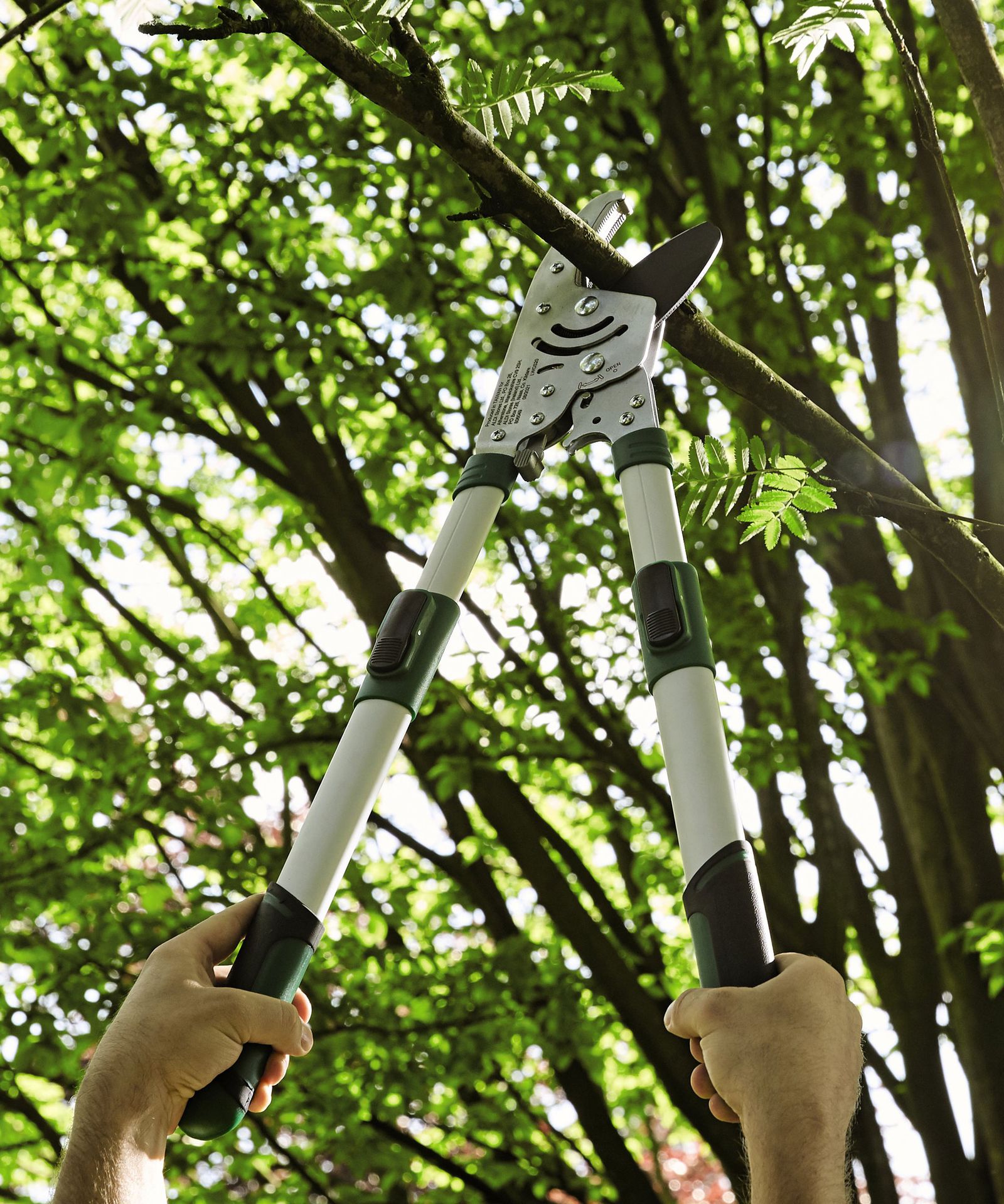 The new Aldi garden tool shed is under £100 | Gardeningetc