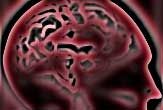 Brain's Willpower Spot Found | Live Science