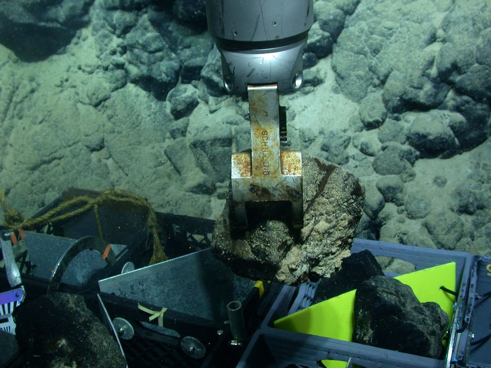 Photos: Hawaii's New Underwater Volcano | Live Science